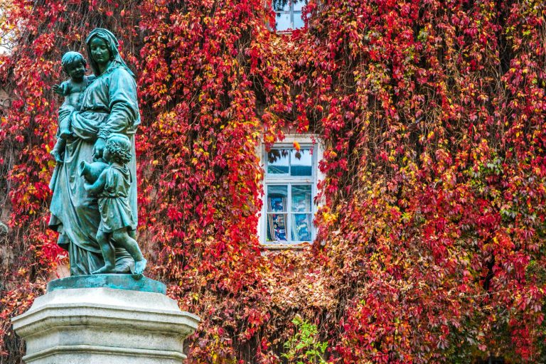 Frauenbild – Geleitstraße – Weimar acht Uhr